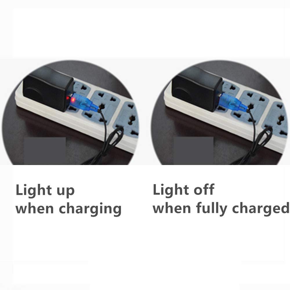 2 Pack 3.7V 600mAh Li-ion Rechargeable Battery 1450cell with USB Charger Cable for Double Sided Rotating Tumbling Amphibious RC Stunt Car Monster Truck C63