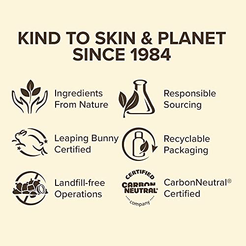 Burt's Bees Gifts, 4 Lip Balm Products, Balm Bouquet Spring Set - Classic Beeswax, Vanilla Bean, Cucumber Mint & Coconut Pear (4 Pack)