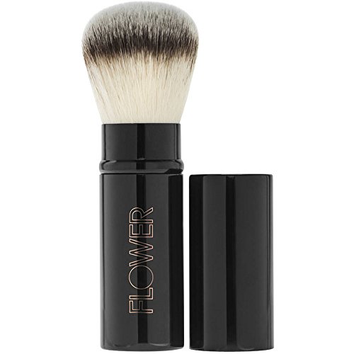Retractable Brush