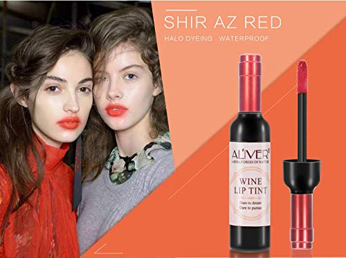 ZODENIS 5 Colors Wine Lip Tint, Wine Lipstick, Matte Lipgloss Set