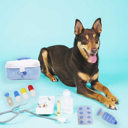 wowmolly Medicine Box Design Plush Chew Dog Toys Including Syringe 3 Pills Tablet Pill Potion Bottle Squeaky Interactive Custom Stuff Pet Toy for Small, Medium Dogs