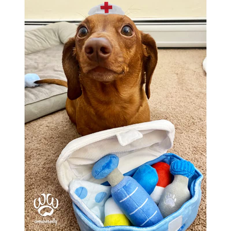 wowmolly Medicine Box Design Plush Chew Dog Toys Including Syringe 3 Pills Tablet Pill Potion Bottle Squeaky Interactive Custom Stuff Pet Toy for Small, Medium Dogs