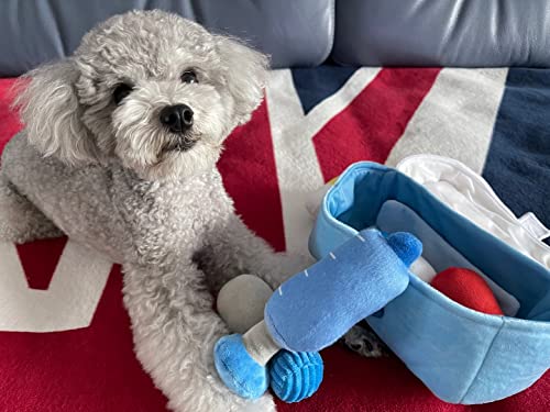 wowmolly Medicine Box Design Plush Chew Dog Toys Including Syringe 3 Pills Tablet Pill Potion Bottle Squeaky Interactive Custom Stuff Pet Toy for Small, Medium Dogs