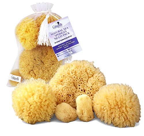 Real Natural Sea Sponges Multipack - 5pc Spa Gift Set in Premium Bag, Kind on Skin, for Bath Shower Facial Cleansing, Pamper Moms Brides Girlfriends & Teens by Constantia Beauty®