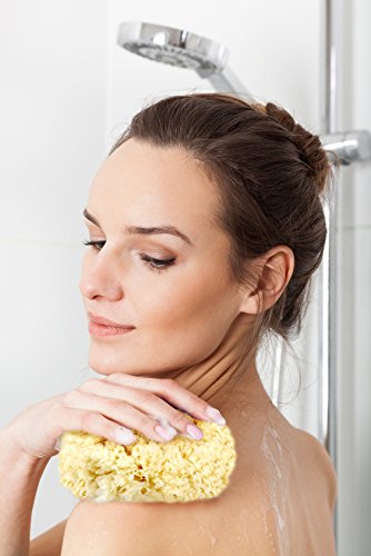 Real Natural Sea Sponges Multipack - 5pc Spa Gift Set in Premium Bag, Kind on Skin, for Bath Shower Facial Cleansing, Pamper Moms Brides Girlfriends & Teens by Constantia Beauty®
