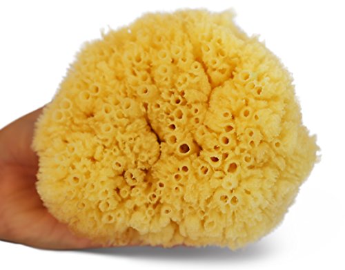 Real Natural Sea Sponges Multipack - 5pc Spa Gift Set in Premium Bag, Kind on Skin, for Bath Shower Facial Cleansing, Pamper Moms Brides Girlfriends & Teens by Constantia Beauty®