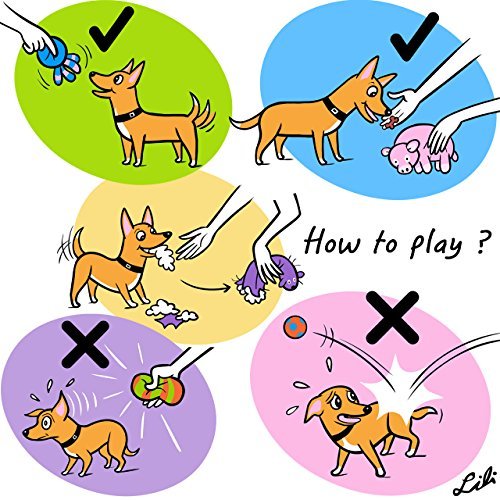 CHIWAVA 2 Pack 6" Squeaky Latex Dog Toy Balls Football Rugbys Fetch Interactive Toy for Medium Large Dogs