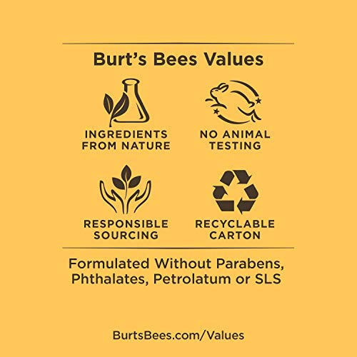Burt's Bees 100% Natural Moisturizing Lip Balm, Coconut & Pear and Mango with Beeswax & Fruit Extracts - 2 Tubes, 2 Fl OZ
