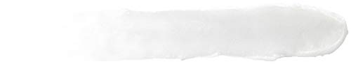 Burt's Bees 100% Natural Moisturizing Lip Balm, Coconut & Pear and Mango with Beeswax & Fruit Extracts - 2 Tubes, 2 Fl OZ