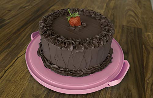 Red Co. 11 inch Cake & Cupcake Muffin Carrier Holder with Collapsible Handles, Pink Tray/Clear Lid