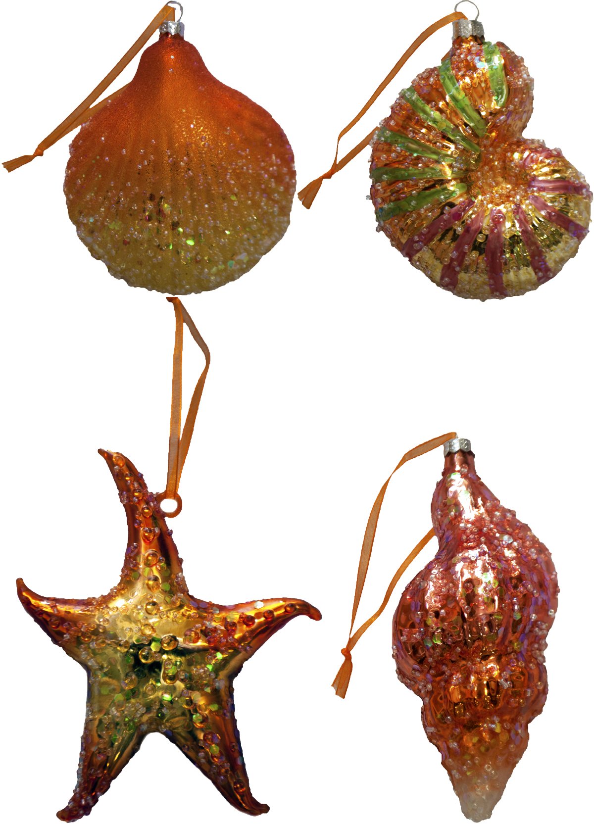 Glass Art Coastal Sea Shell Christmas Ornaments - Set of 4 (Orange)