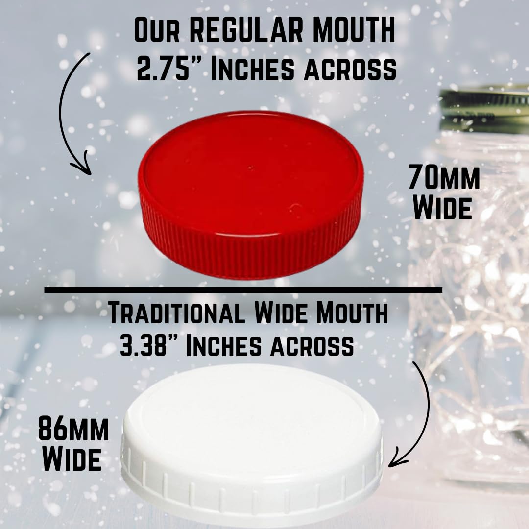 JARMING COLLECTIONS Glass Regular Mouth 24 oz Mason Jars with Lids & Bands - BPA Free Plastic Storage Lids - Made in USA - 24oz Mason Jars Regular Mouth 24 oz with Lids - Set of 2
