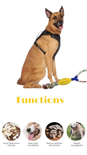 Dog Ball Rope Toy Interactive for Medium Dog for Treat Dispensing, Durable Dog Balls for Teeth Cleaning/IQ Training (Not for Aggressive chewers)