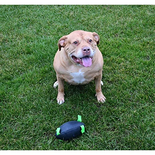 Gioco Dog Rugby Ball - DS