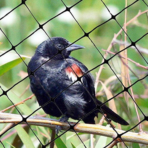 Bird-X Standard Bird Netting, Ideal for Gardens and Lightweight Applications, UV-Stabilized Mesh Netting with 3/4" Hole Opening, Easy to Install, 100' x 14'