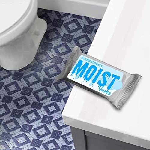 Scandalously Moist Wipes Pocket Size Wet Towelettes - Funny Travel Wipes for Women Stocking Stuffer Ideas Disposable 15 Count