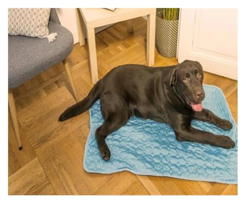 ITOMEN Pet Bed Pet Mat Breathable Washable Pad Dog Cat Blanket Kennel Crate and Bed Sleeping Ice Silk Comfort (Color : Light Blue, Size : XS 40x30 cm)