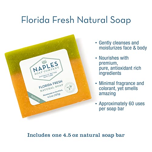 Naples Soap Company Cult Classics Collection Gift Set β Natural Soap, Body Butter, Sea Salt Scrub, Shampoo and Conditioner Bars β Eco-Friendly, Cruelty-Free, No Parabens or Silicones β Florida Fresh