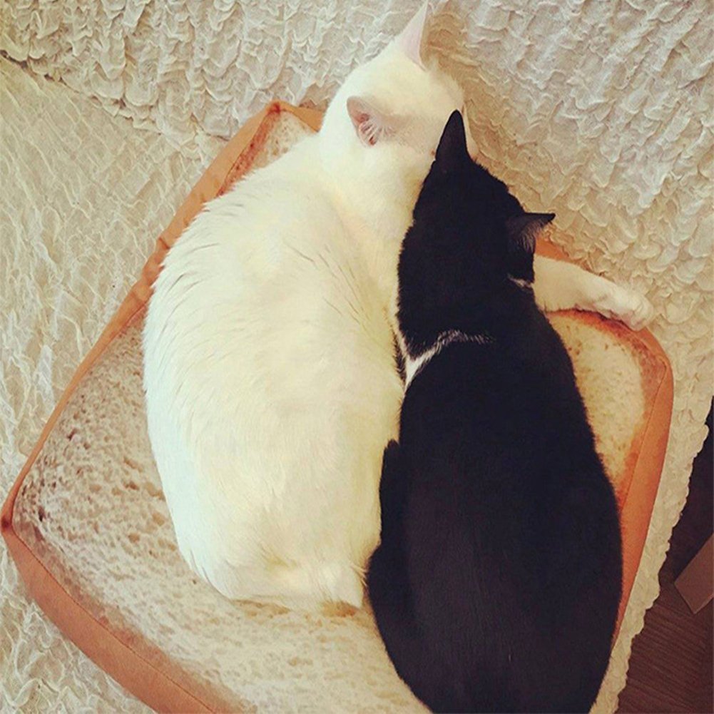 Dofover Soft Cat Cushion Bed Bread Pet Mattress Bed Toast Mats Bedding Pad for Small Medium Dogs & Cats,Sleeping Resting Playing Reading Pillow (15.7''x15.7''x2.6'')