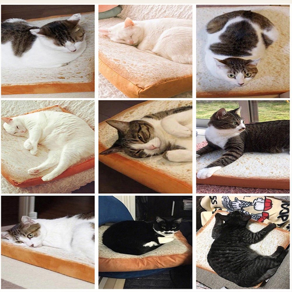 Dofover Soft Cat Cushion Bed Bread Pet Mattress Bed Toast Mats Bedding Pad for Small Medium Dogs & Cats,Sleeping Resting Playing Reading Pillow (15.7''x15.7''x2.6'')