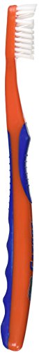 NCAA Florida Gators Toothbrush