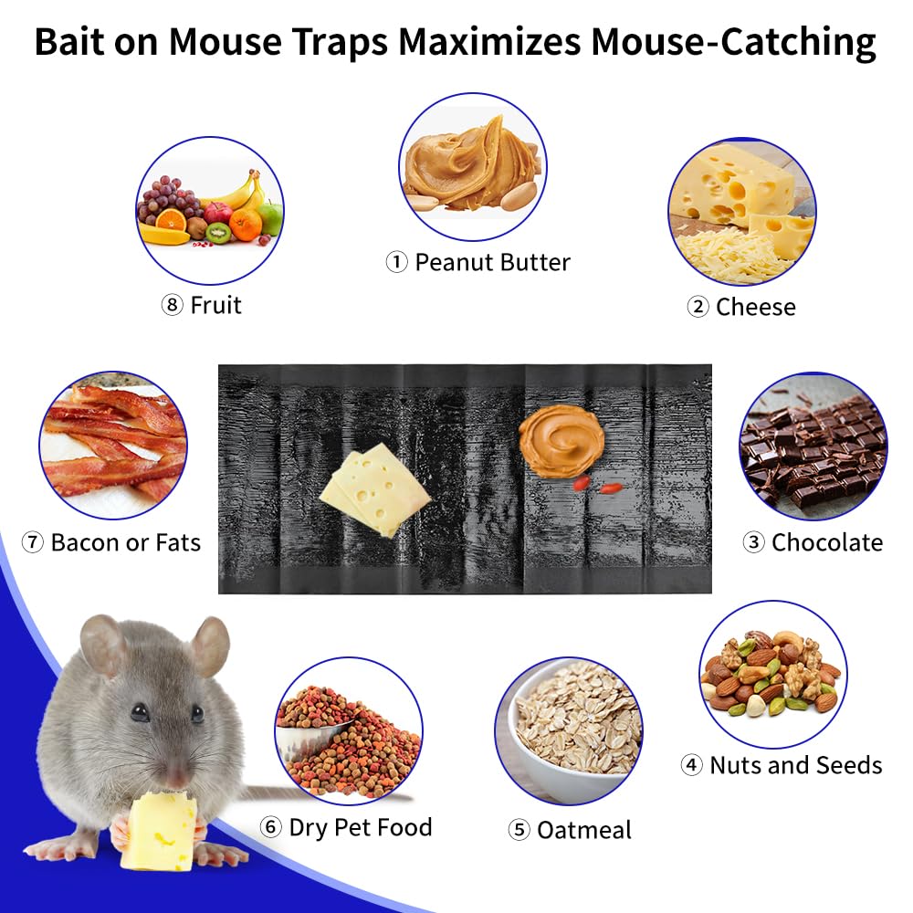 6 Pack Mixed Sizes Large Rat Traps, Heavy Duty Sticky Mouse Traps for House Indoor, Extra Strength Snake Traps for Mice Rat Snake Roach Lizard Spider Scorpion and Other Pests