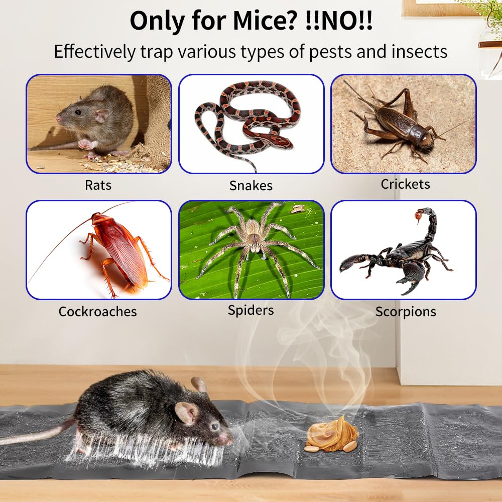 6 Pack Mixed Sizes Large Rat Traps, Heavy Duty Sticky Mouse Traps for House Indoor, Extra Strength Snake Traps for Mice Rat Snake Roach Lizard Spider Scorpion and Other Pests