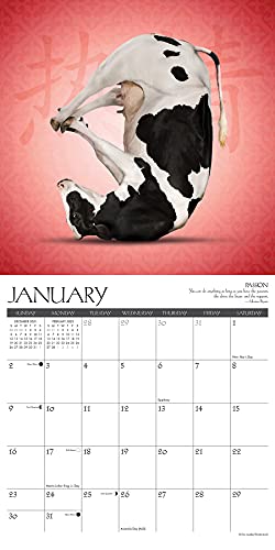 Cow Yoga 2022 Wall Calendar
