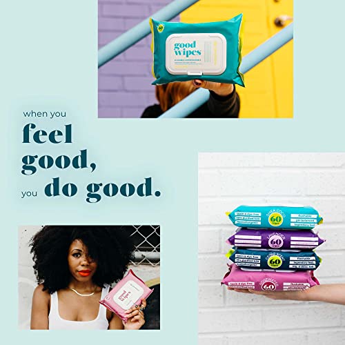 Goodwipes Flushable & Plant-Based Wipes with Botanicals | Dispenser for At-Home Use | Variety Pack with Aloe Septic and Sewer Safe | 240 count (4 packs) - Biggest Adult Wipes