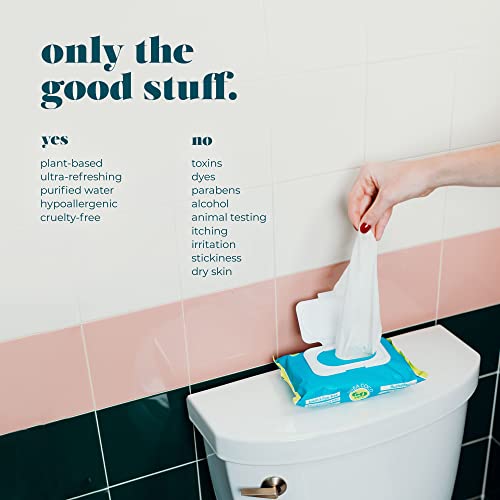 Goodwipes Flushable & Plant-Based Wipes with Botanicals | Dispenser for At-Home Use | Variety Pack with Aloe Septic and Sewer Safe | 240 count (4 packs) - Biggest Adult Wipes