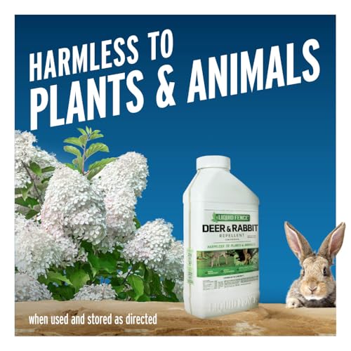 Liquid Fence Deer And Rabbit Repellent Concentrate 32 Ounces, Apply Year-Round