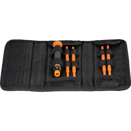 Klein Tools 32584INSR Precision 8-in-1 Screwdriver Set with Case, 1000V Rated Insulated Set with Phillips, Slotted and Tamperproof TORX Bits