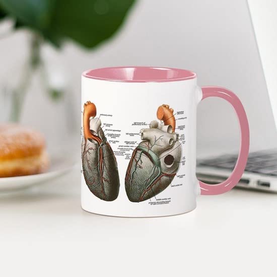 CafePress Anatomy Of The Human Heart Mug Ceramic Coffee Mug, Tea Cup 11 oz