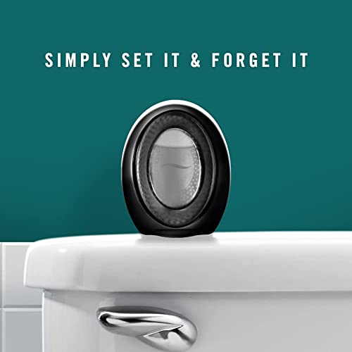 Febreze Small Spaces, Plug in Air Freshener Alternative for Home, Berry & Bramble, Odor Fighter for Strong Odor (4 Count)