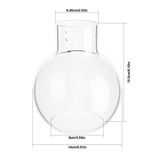 Tipace Clear Glass Globe Lamp Shades Replacement Lampshade for Light Fixture
