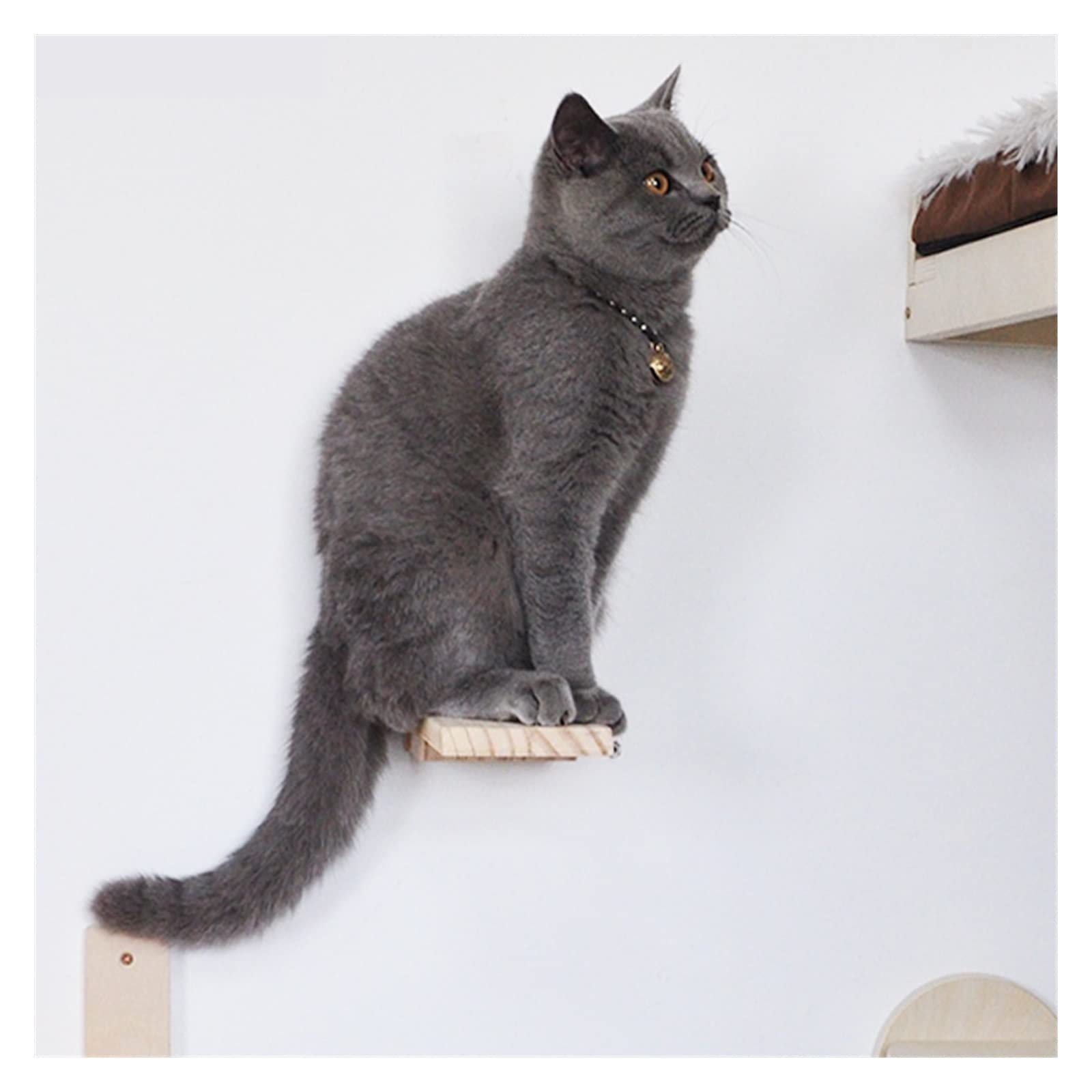 luckxuan Pet Hammock/Hanging Cat Bed Cat Jumping Platform Wall cat Climbing Frame cat Wall cat Climbing Frame Square cat Jumping Platform Pet Hammock Bed
