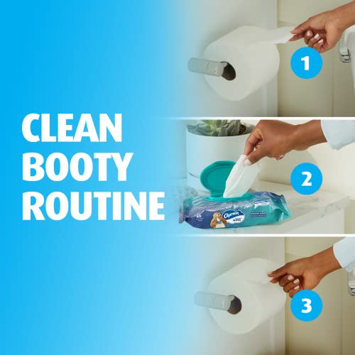 Charmin Flushable Wipes, 12 packs, 40 Flushable Wipes per Pack
