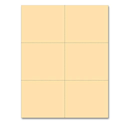 NextDayLabels - Laser Printer Blank Perforated Cards 6 up per Page, for School Registration Cards, Flower Delivery Cards, Inventory Tags, RSVP Cards, Trip Tickets, ETC. (Manila, 1200 Cards)
