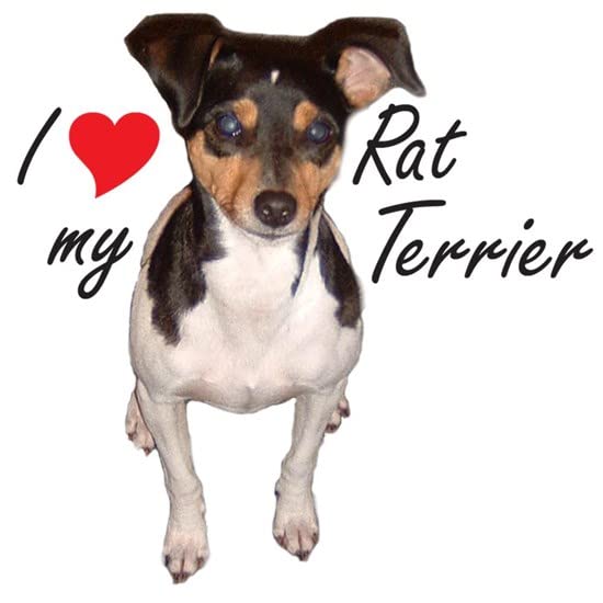 CafePress Rat Terrier Mug Ceramic Coffee Mug, Tea Cup 11 oz