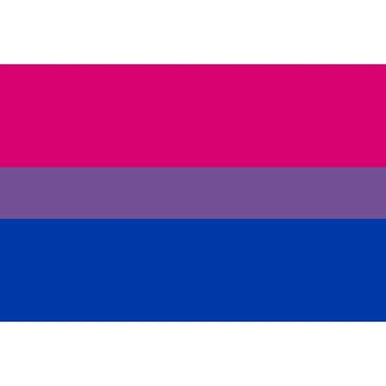 CafePress Bisexual Pride Mug Ceramic Coffee Mug, Tea Cup 11 oz