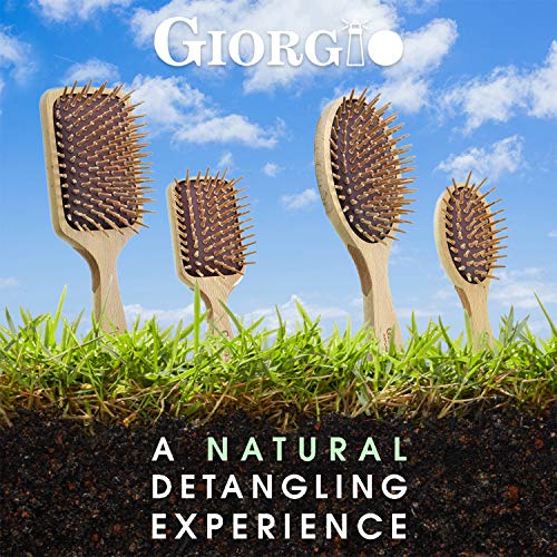 Giorgio GBRD1 Small Travel Men's Mustache and Beard Brush, Natural Boar Bristle for Flawless Shaping and Grooming. Ergonomic Grip Wood Handle. Dry or Wet, Distributes Oils and Balms to Soften Beard