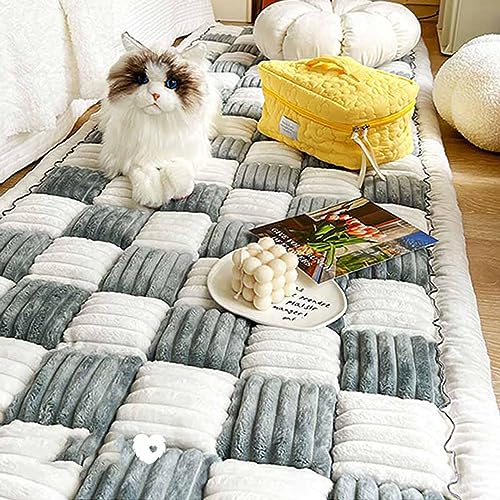 TTEDMO Funny Fuzzy Cream-Coloured Large Plaid Square Pet Mat Bed Couch Cover, 27.5x70.8 in