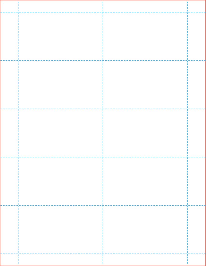 NextDayLabels 100# Tag Blank 10 Per Page White, Laser/Ink Jet Business Card Stock (1000)
