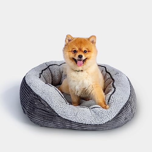 Dog Bed for Large Medium Small Dogs, Soft Calming Puppy Dog Bed Orthopedic Dog Sofa Bed Durable Washable Puppy Bed Medium Large Dog Bed Square, Comfortable Puppy Dog Bed