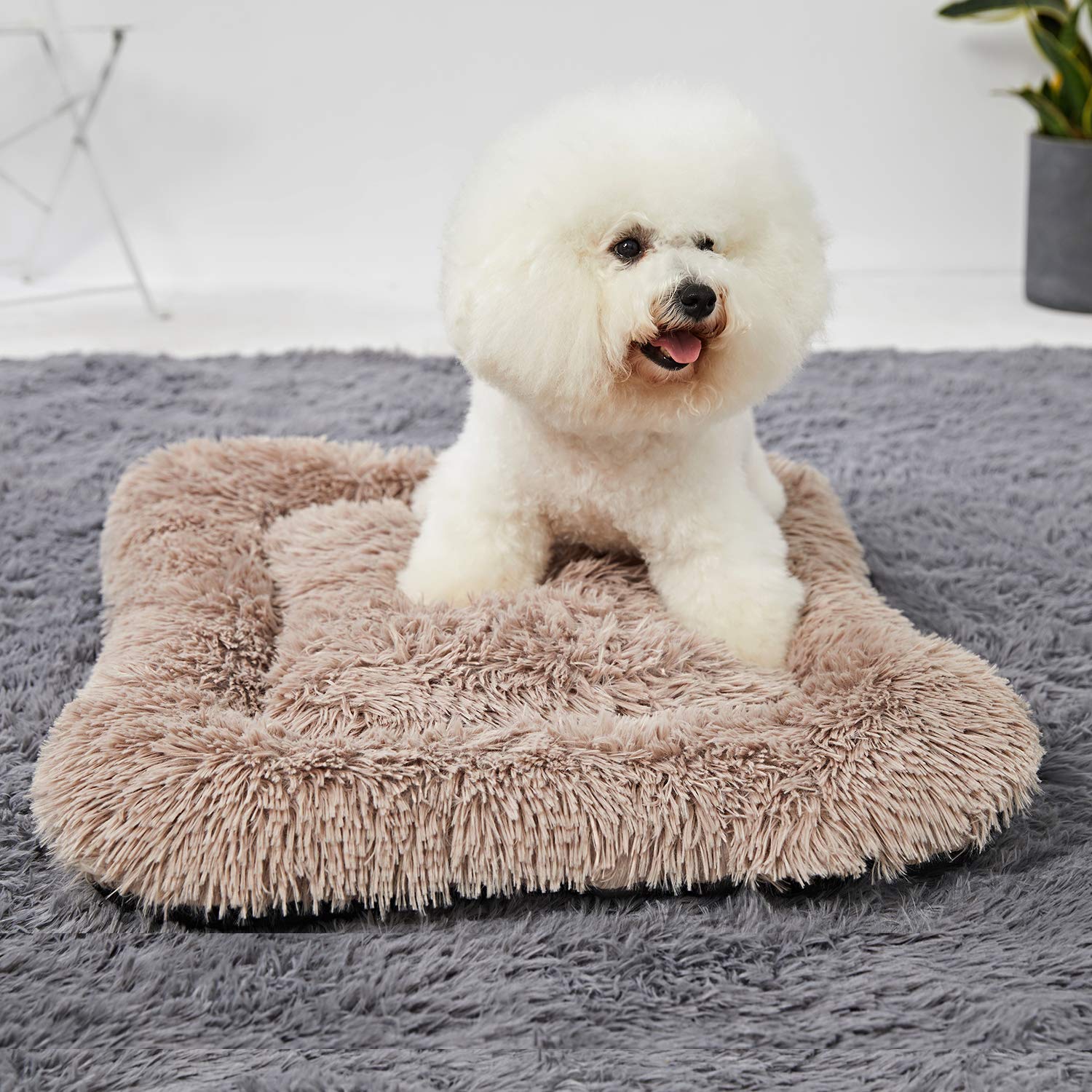 Puppy Dog Bed Small Dogs, Washable Dog Crate Bed Cushion, Dog Crate Pad Small Dogs 24 INCH