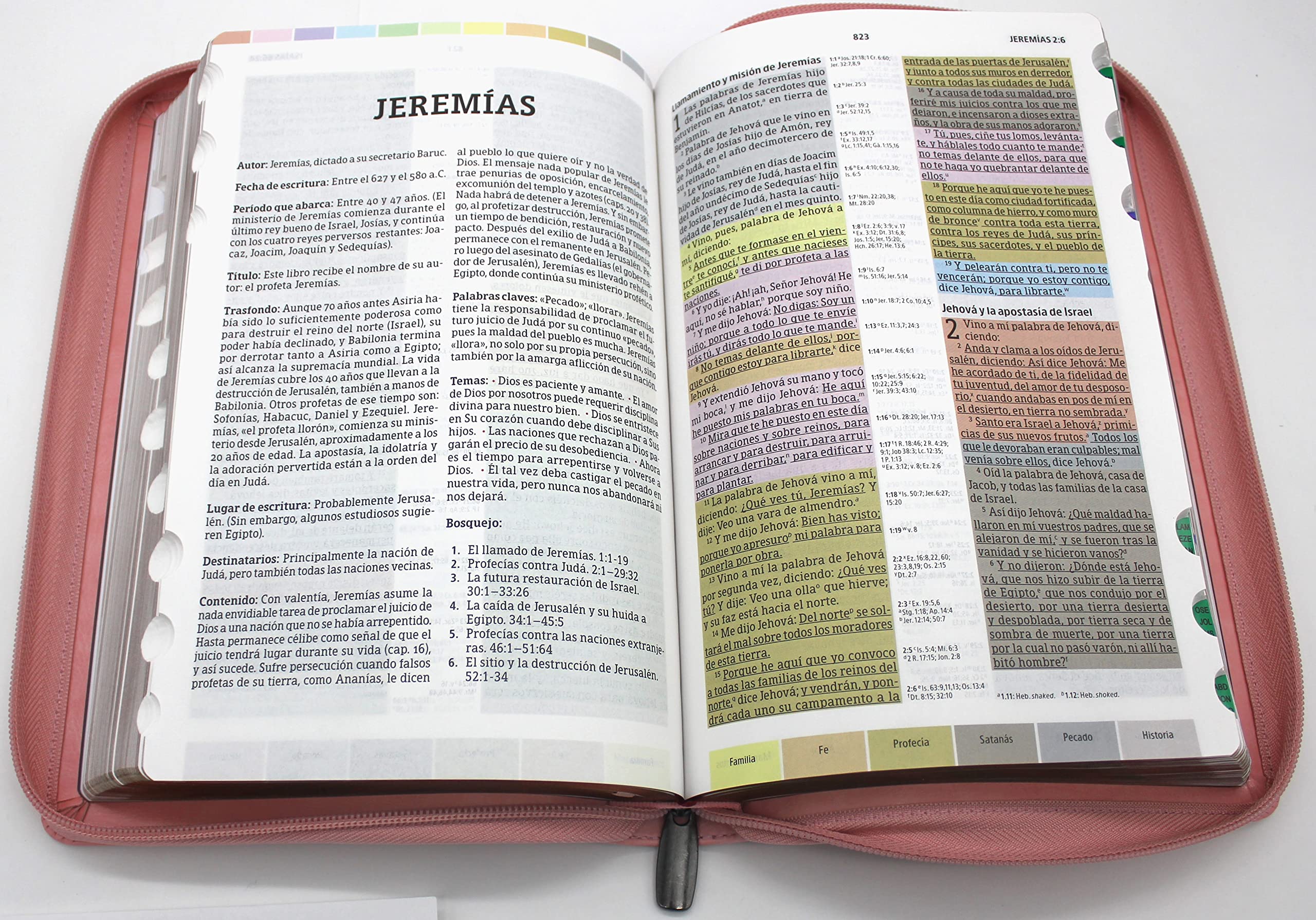 Biblia de Estudio Arco Iris Reina Valera 1960 con cierre, Indice, Color Rosado con cobre y Estuche de lujo negro con cobre para guardar y proteger la Biblia Coleccion Celestial