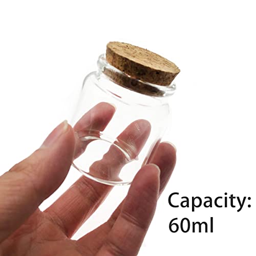 IMMTTYY 12Pack 2OZ Cork Stopper Glass Bottles,Mini Wide Mouth Mason Jar Shot Glasses,Perfect for home bar, man cave or she shed Great stocking stuffer,Favor Jars for Honey,Mousse with 24 Labels