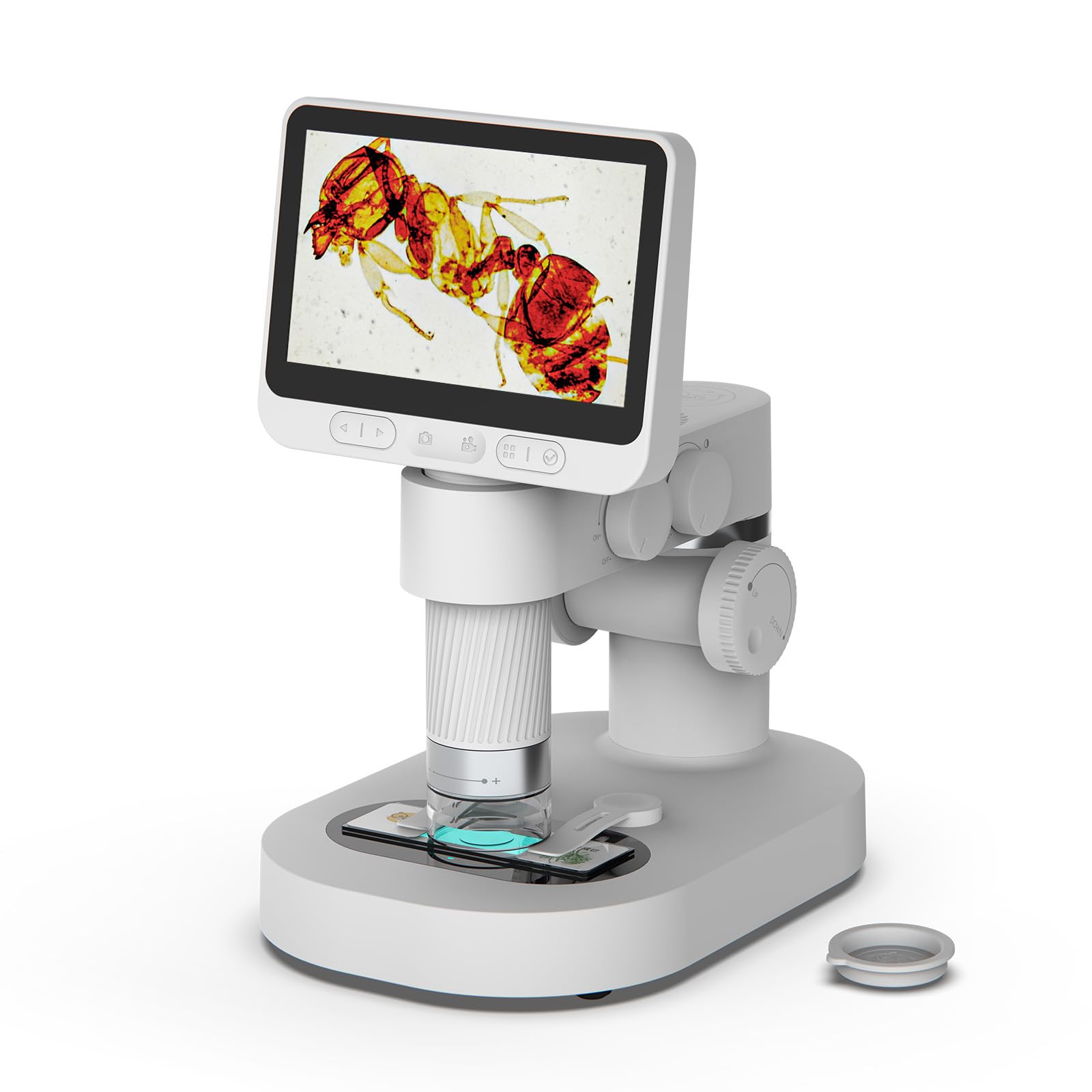 BEAVERLAB Digital Microscope with 4.3'' 1080P IPS Screen [Eco-Friendly Optical Staining] 1600x Magnification for Classroom Education, Macro Photography, Coin Collection, Learning and Explore