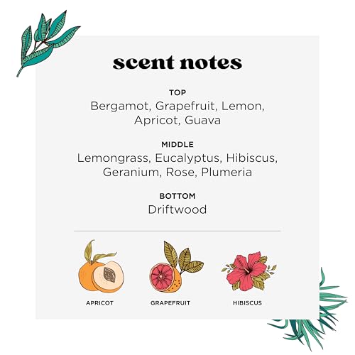 Poo-Pourri Before-You-Go Toilet Spray, Tropical Hibiscus, Refill Bottle 16 Fl Oz - Hibiscus, Apricot and Citrus