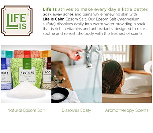 Life Is Calm Epsom Salt Spa 6-Pack l Dissolvable Therapy Formulas for Bath (Restore, Clense, Relax, Balance, Purify & Soothe)